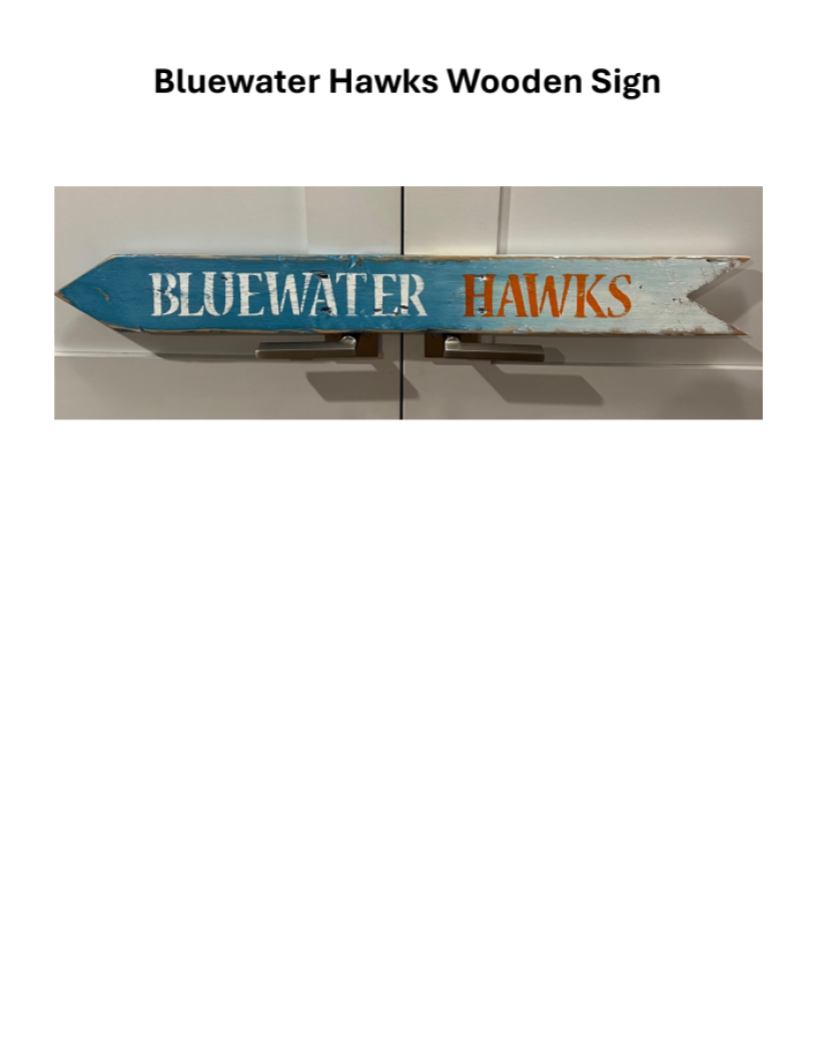 U22 Elite > U22 Elite > Auctions > Bluewater Jr. Hawks Auction ...